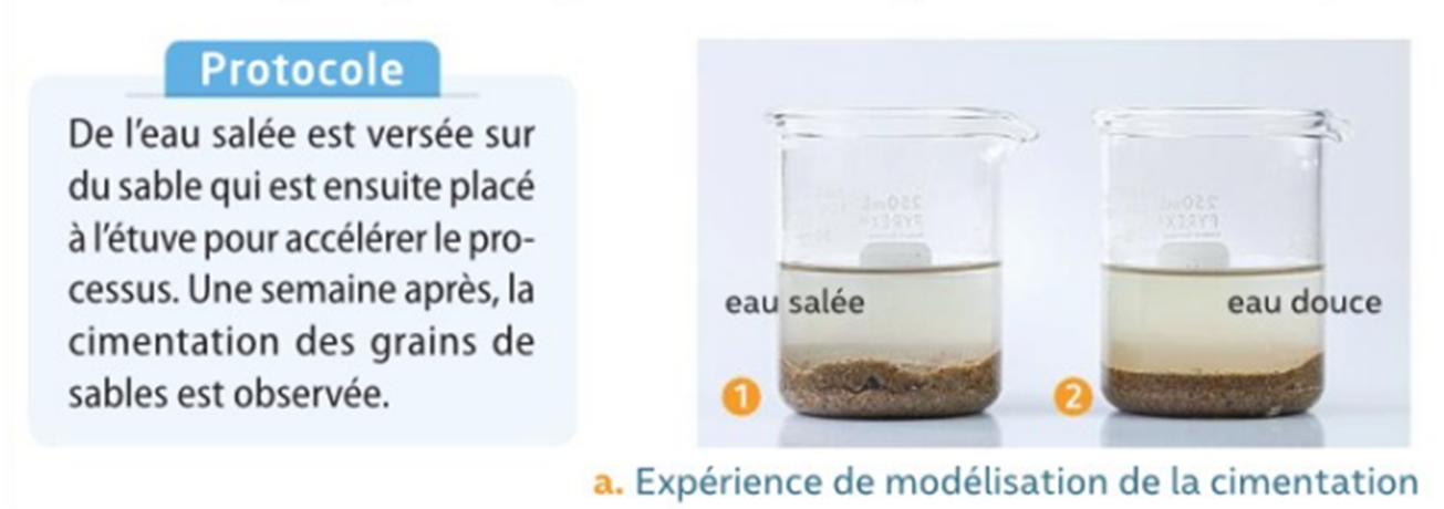 Géologie - La formation des roches sédimentaires